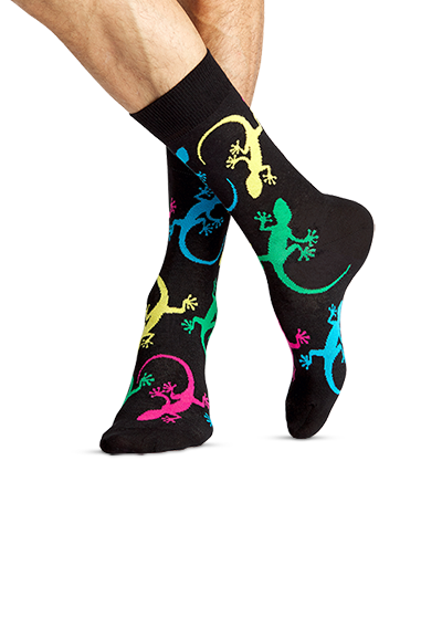 Salamander | Funny colorful socks | Buy funny colorful socks for women ...