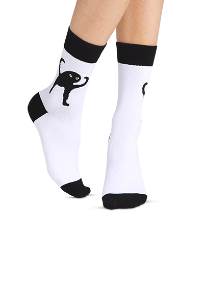 Cat meme | Funny colorful socks | Buy funny colorful socks for women ...