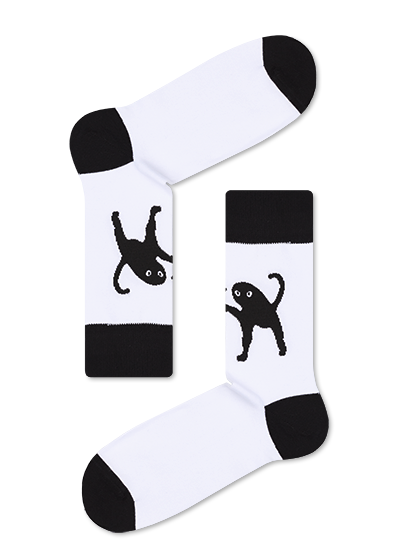 Cat meme | Funny colorful socks | Buy funny colorful socks for women ...