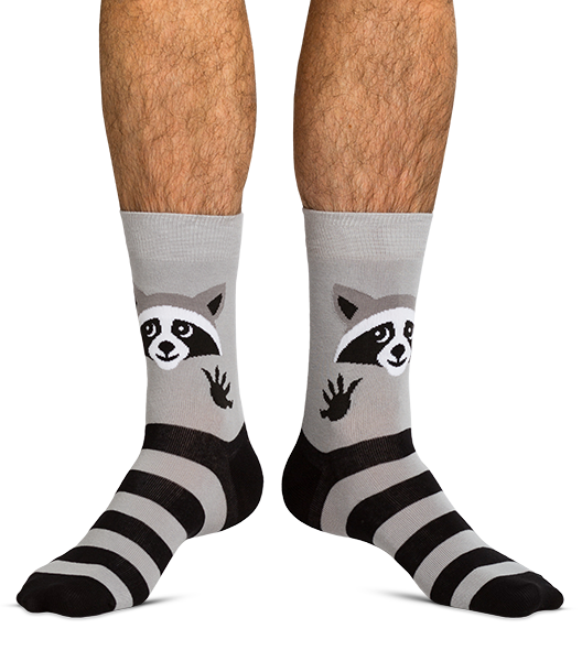 Little Raccoon | Funny colored socks | Buy funny colored socks for ...