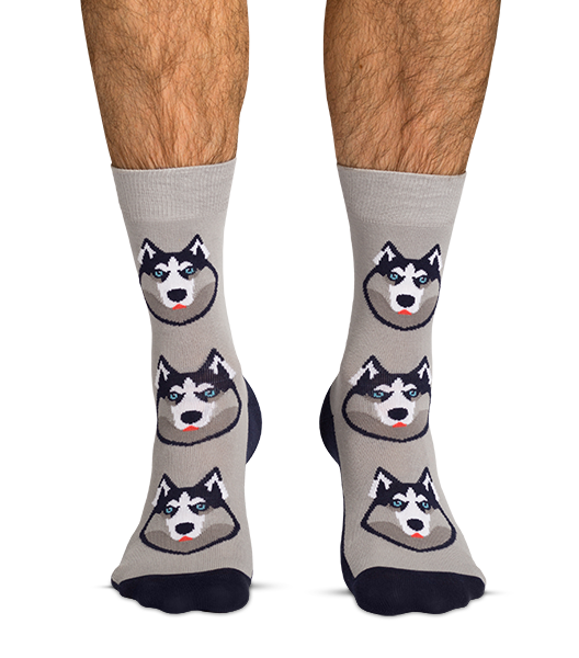 Siberian Husky | Funny colorful socks | Buy funny colorful socks for ...