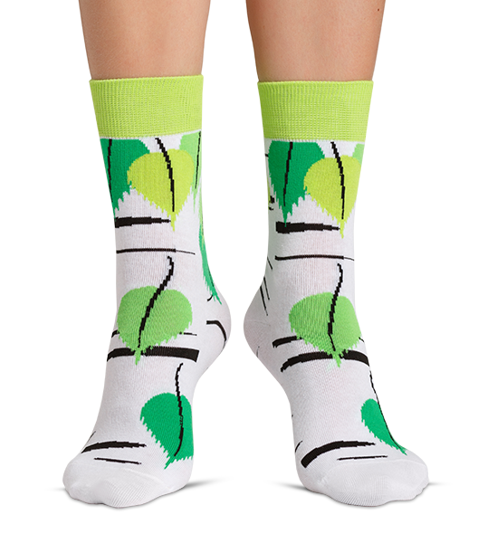 Birch Tree | Funny colored socks | Buy funny colored socks for women ...