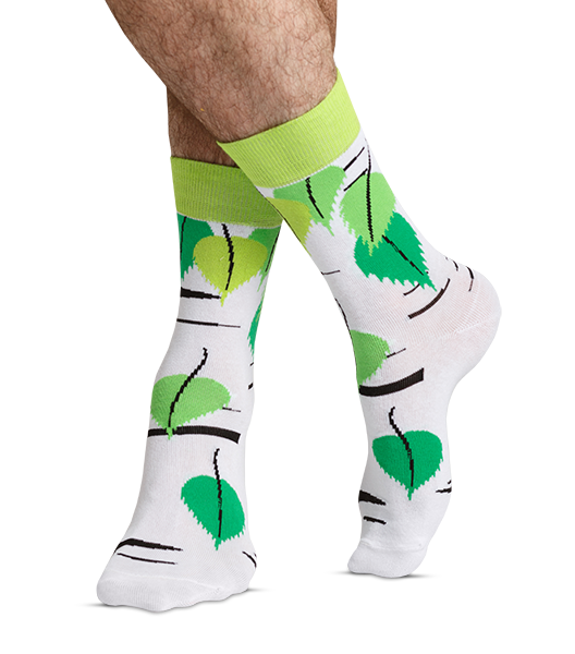 Birch Tree | Funny colored socks | Buy funny colored socks for women ...