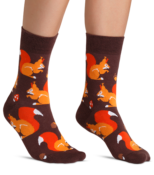 Little Squirrel | Funny colorful socks | Buy funny colorful socks for ...
