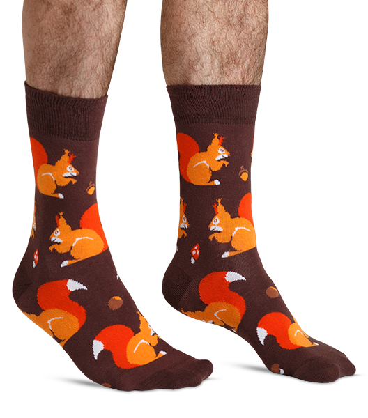 Little Squirrel | Funny colorful socks | Buy funny colorful socks for ...
