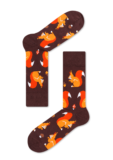 Little Squirrel | Funny colorful socks | Buy funny colorful socks for ...
