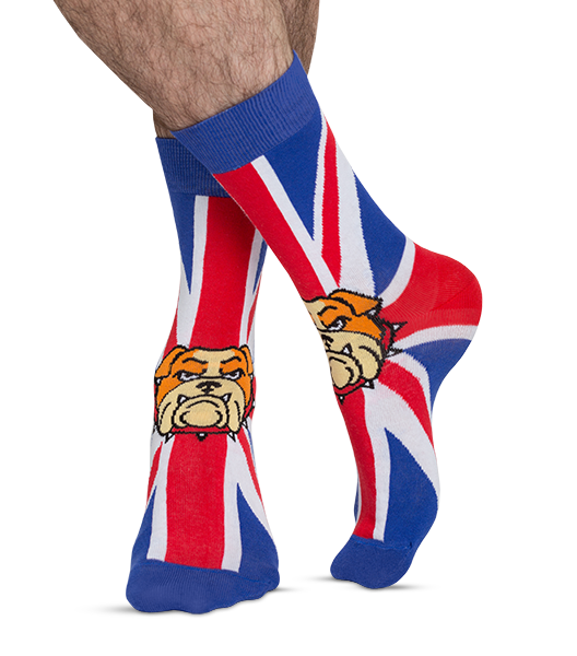 English Bulldog | Funny colored socks | Buy funny colored socks for ...
