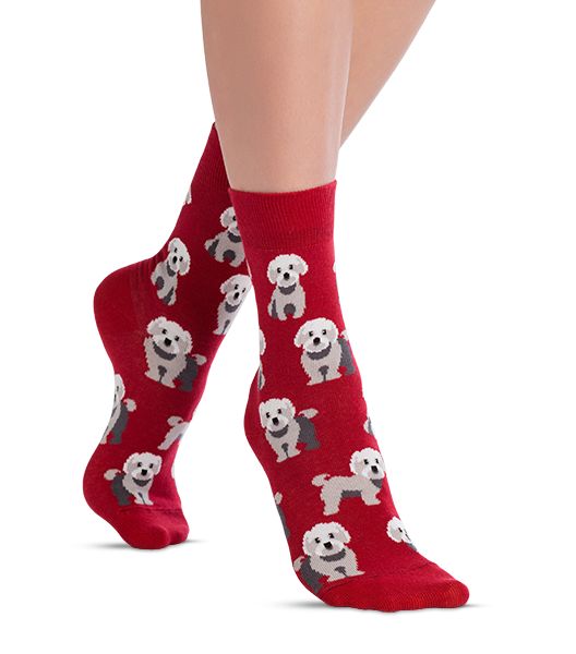 Maltese Puppy | Funny colorful socks | Buy funny colorful socks for ...