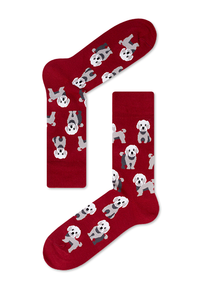 Maltese Puppy | Funny colorful socks | Buy funny colorful socks for ...