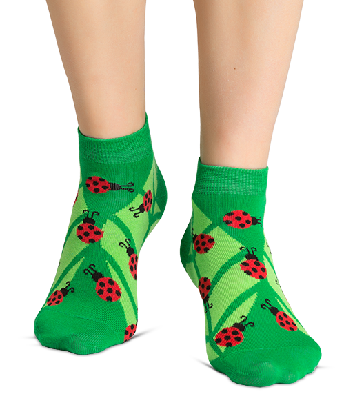 Fly To The Sky | Funny colored socks | Buy funny colored socks for ...
