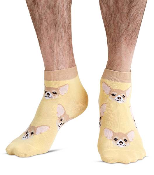 Chi-Chihuahua | Funny colored socks | Buy funny colored socks for women ...